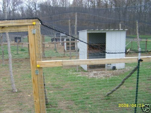 Poultry Netting 50' x 150' X-Heavy Knotted 2" Mesh Aviary Hawk Stop ...