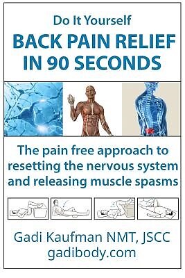 Do It Yourself Back Pain Relief In 90 Seconds Pain Free Appr by Kaufman ...