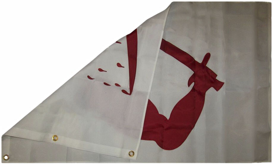 3x5 Embroidered Sewn Dimmit's Goliad Synthetic Cotton Flag 3'x5' 3 ...