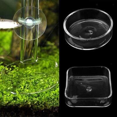 Aquarium glass feeding bowl with suction cups for shrimp eating fish ...