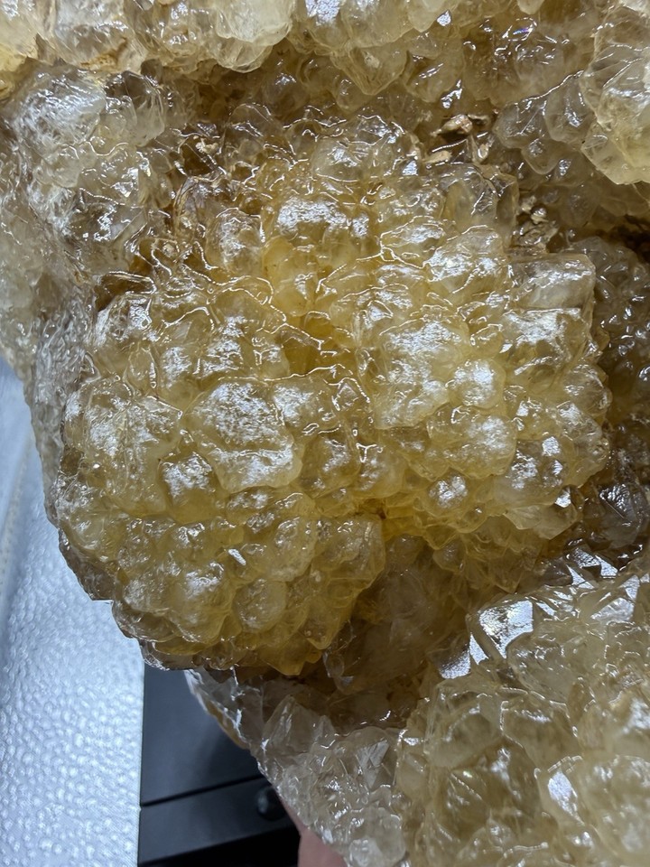 Ancient Fossilized Indiana Golden Geode Agate Hoosier Oddity 19,900 ...