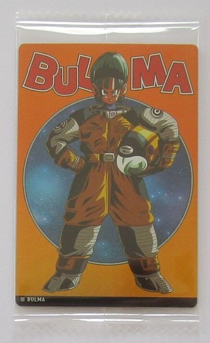 Dragon Ball Z Bulma 2-14 N Card Vol.2 Itajaga Bandai 2022 Japanese | eBay