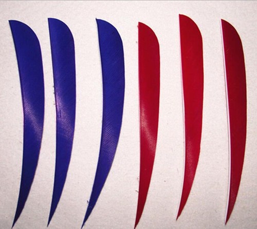 5'' Parabolic Type Right Wing Fletches Fletching Feathers | eBay