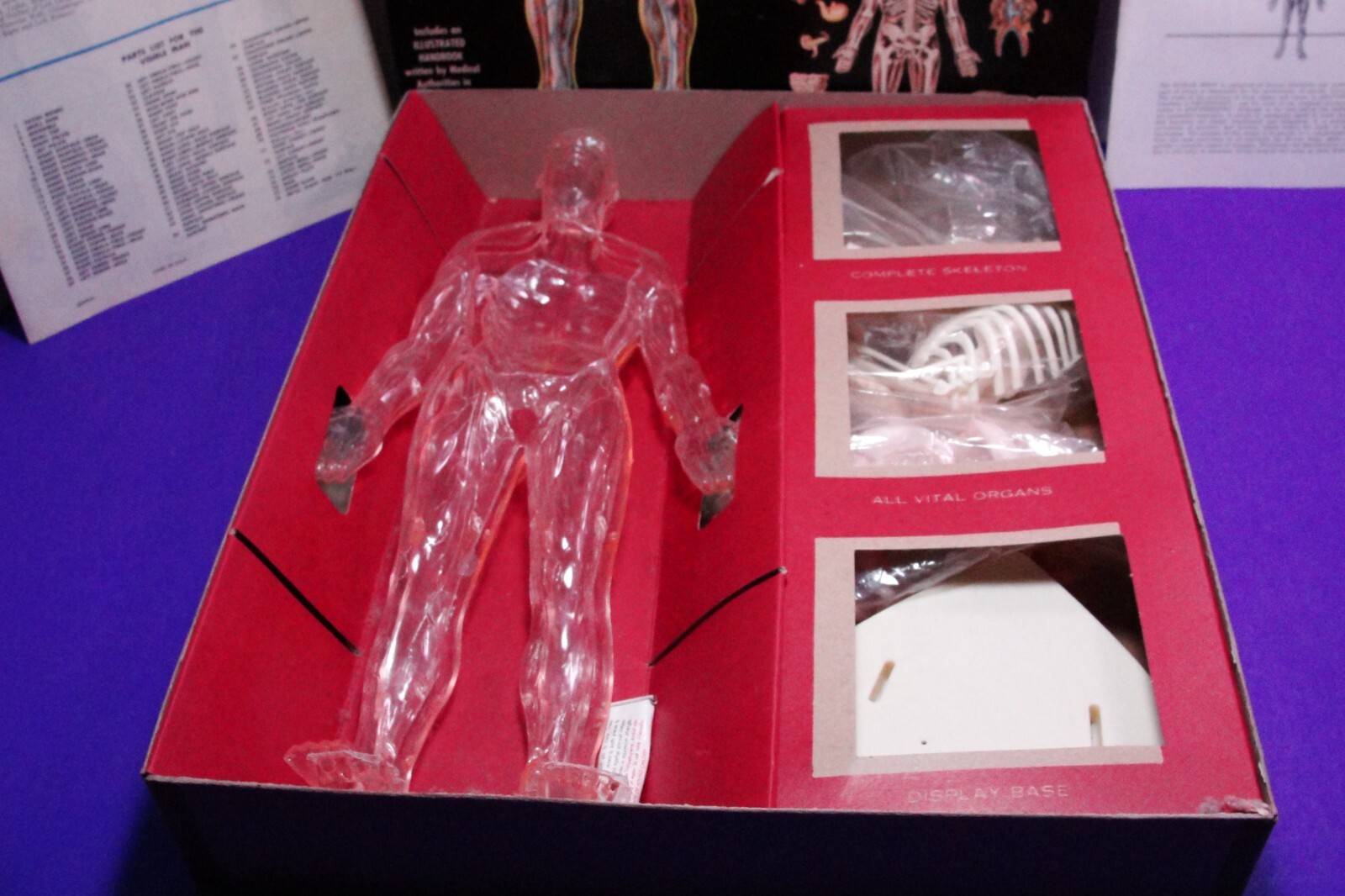 The Visible Man Model Kit Renwal 1959 Unbuilt New Condition, Black Box ...
