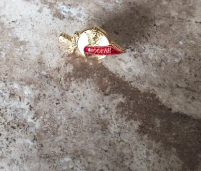 Vintage Shriner Moolah Enamel Gold Pin 3/4” Long | eBay