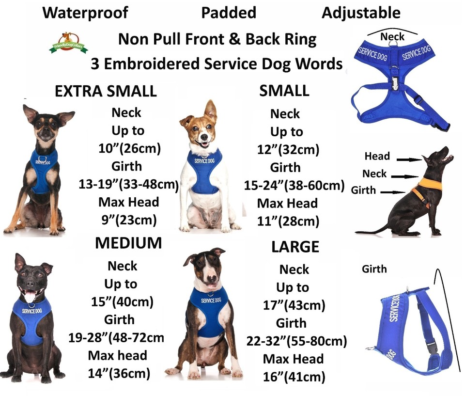 ASSISTANCE DOG Collar or Harness or Lead Padded Waterproof Non Pull XS ...