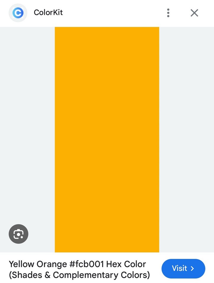 The Foldie Fanny Pack Crossbody Bag RFID Travel Rare Color Orange ...