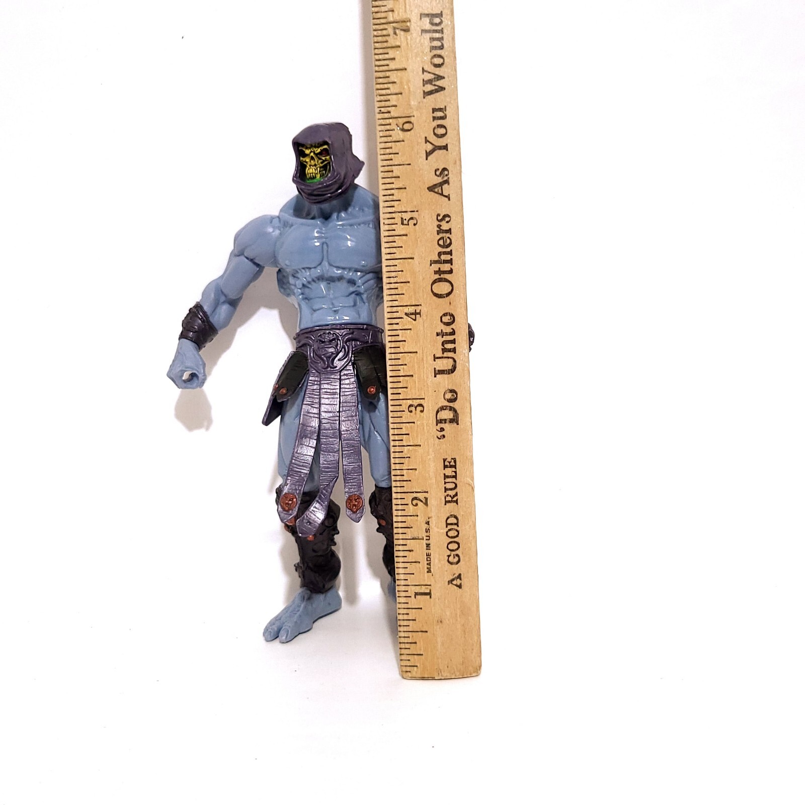Modern He-Man MOTU Skeletor 6" In. Action Figure Good Clean condition ...