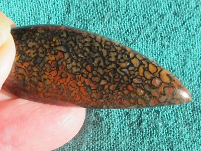 Large Dinosaur Bone Cabochon - Beautiful Red/Orange Colors - 57 cts. | eBay
