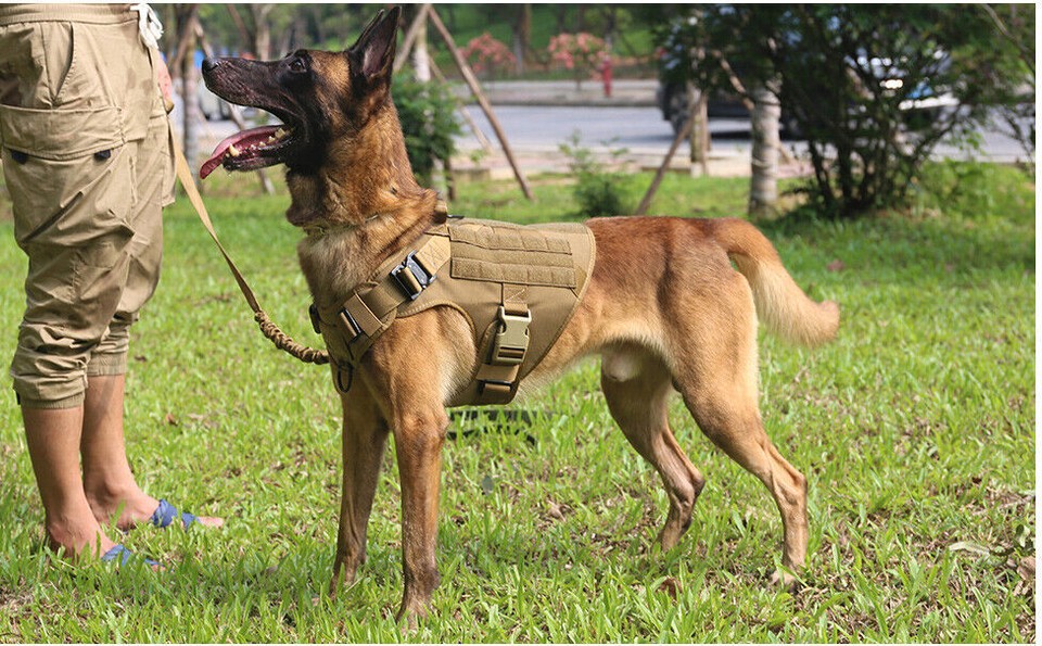 Tactical Dog Vest Harness – Military K9 Dog Training Vest – US Working ...
