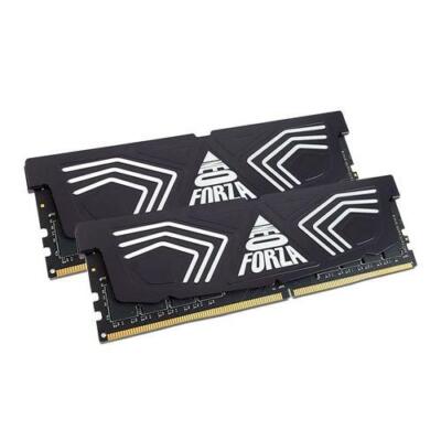 NEO FORZA 16GB (2x8GB) 288-Pin 3000 MHz DDR4 Desktop RAM NMUD480E82 ...