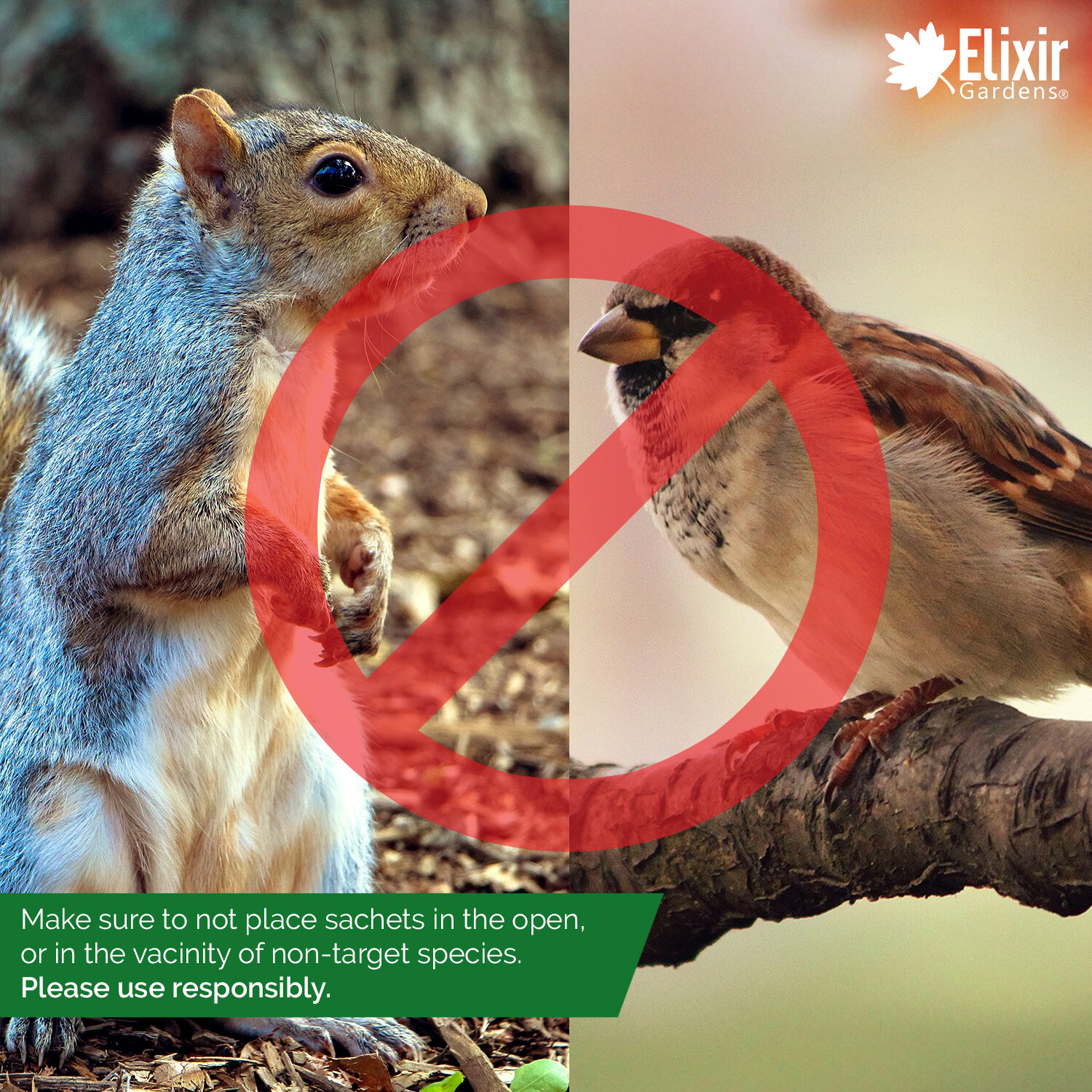 Rodex25 Rat & Mouse Poison Grain | Vermin Killer Strong Wheat Bait ...