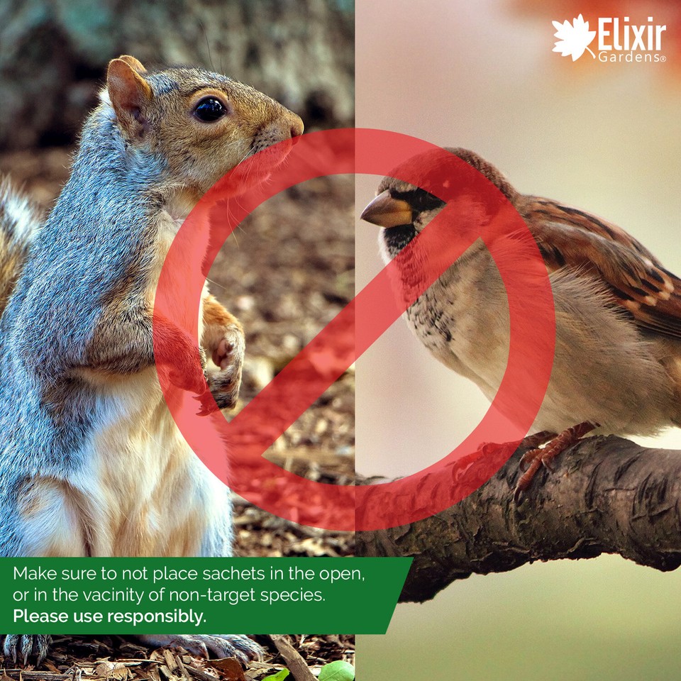 Rodex25 Rat & Mouse Poison Grain | Vermin Killer Strong Wheat Bait ...