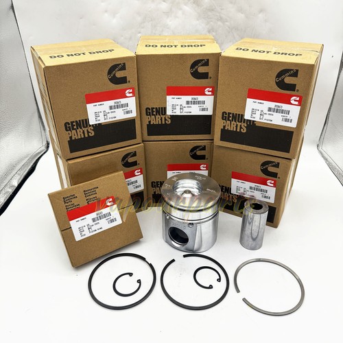 6X STD Standard Pistons Kit For Dodge Ram2500 Cummins 6BT 5.9L 12V 94 ...