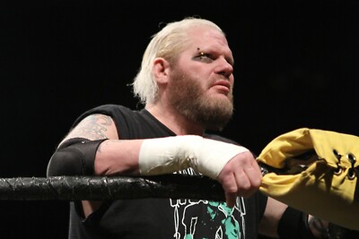 RAVEN 8x10 COLOR PHOTO ROH ECW WWE NXT TNA AEW HOUSE of HARDCORE | eBay