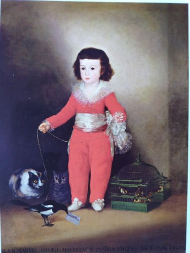 POSTCARD Boy w cat Francisco de Goya Art Manuel Osorio birds in cage | eBay