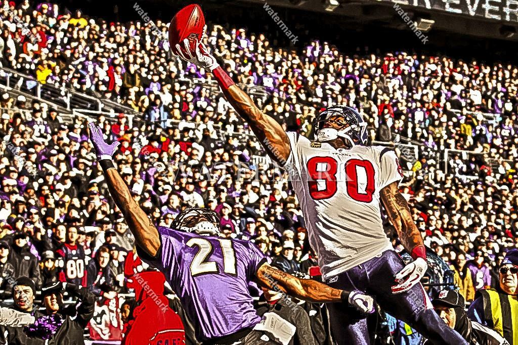Andre Johnson Catch