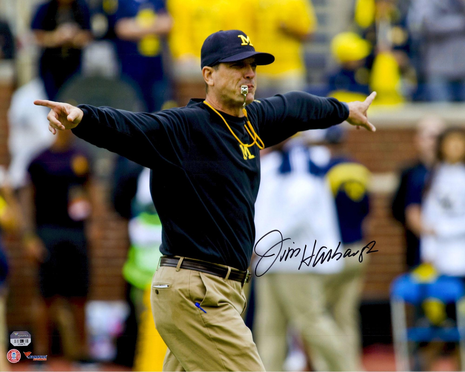 Jim Harbaugh Michigan Wolverines Signed 16'' x 20'' Pointing Photo | eBay