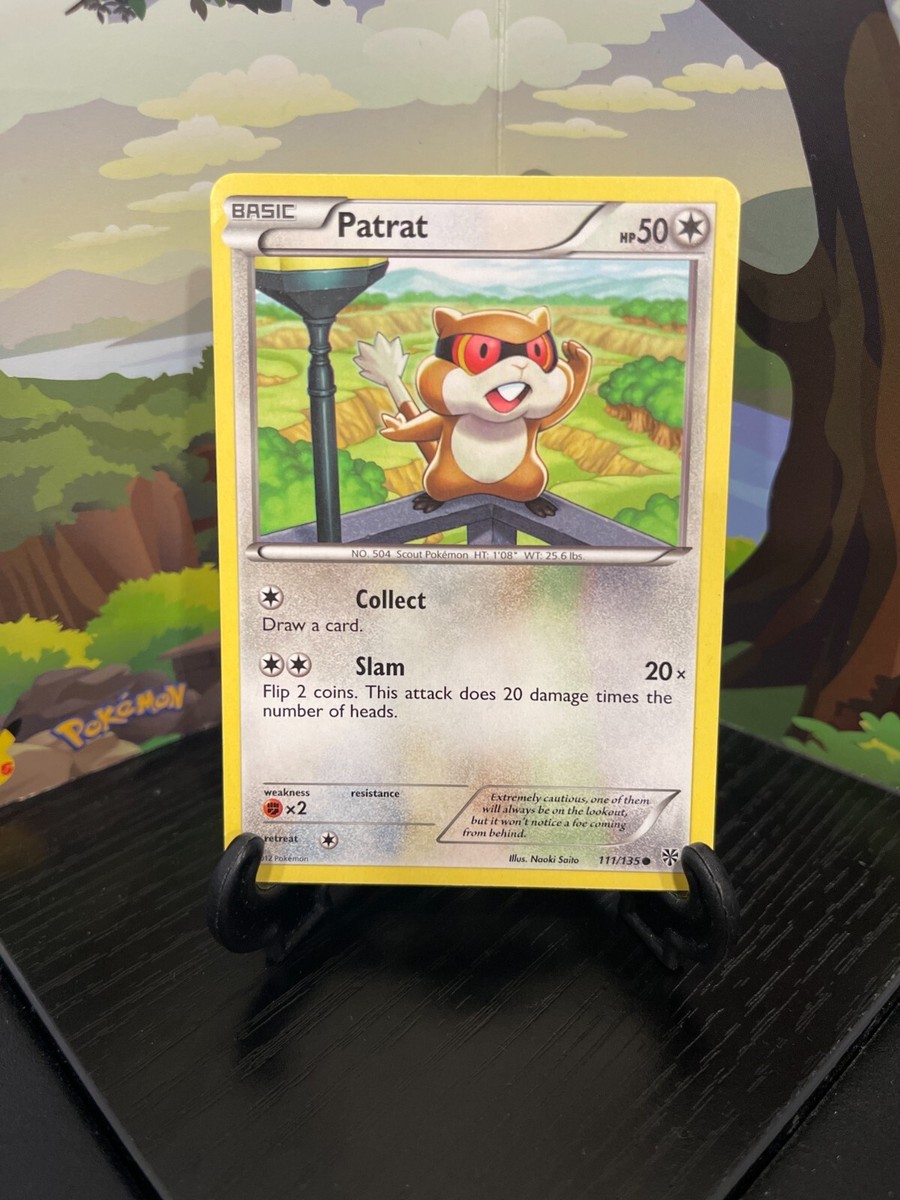 Patrat Evolution Level Pidove (Pokémon) Bulbapedia, The