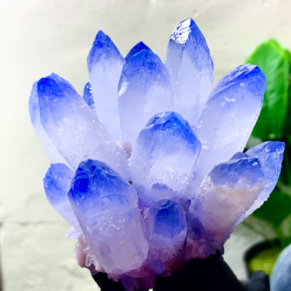 1.21LB New Find sky BLUE Phantom Quartz Crystal Cluster Mineral ...