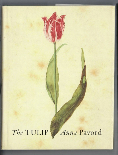 FLORA , HC/DJ ,THE TULIP by ANNA PAVORD , BOTANICAL ILLUSTRATION , 1999 ...