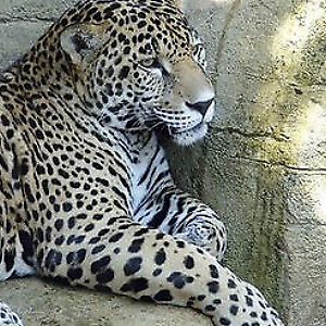 Maddy's Cards | eBay Stores