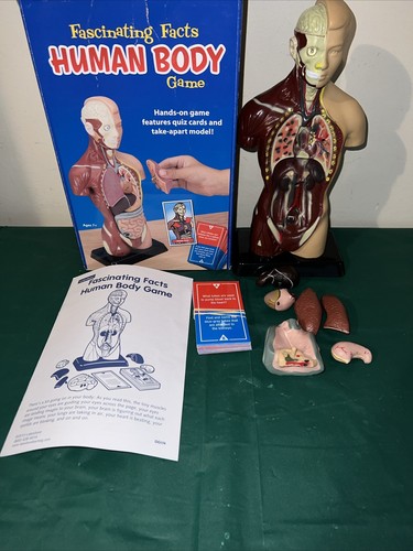 Fascinating Facts Human Body Game Lakeshore Take Apart Model Anatomy ...