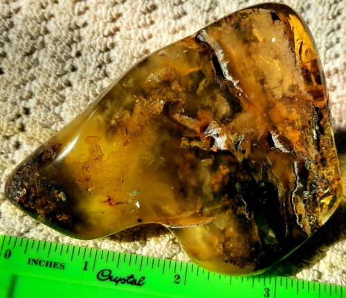 Baltic Amber Polished stone natural insect inside Pendant 72 g Necklac ...