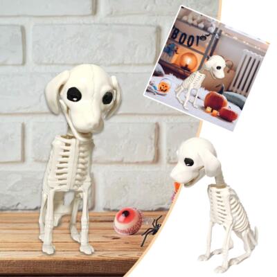 Halloween Posable Skeleton Dog Plastic Spooky Puppy Bones NEW US ...