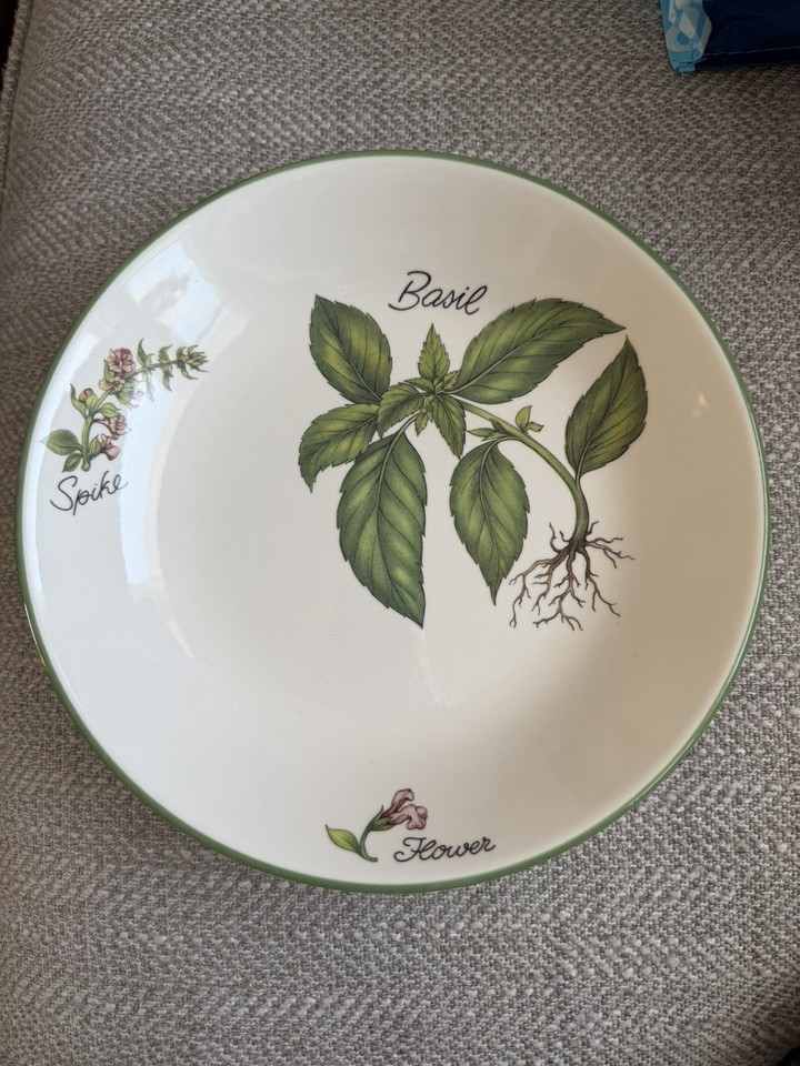 Over and Back BASIL Pasta bowl | Made in Italy (9 1/2" Diameter) | eBay