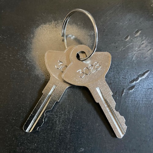 (2) Craftsman / Waterloo Toolbox Replacement Keys Cut Key Code 3001 ...