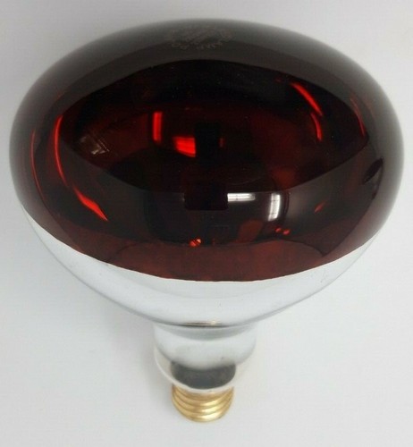 250w ES E27 Screw In Infrared Heat Bulb Lamp Ruby Red | eBay UK