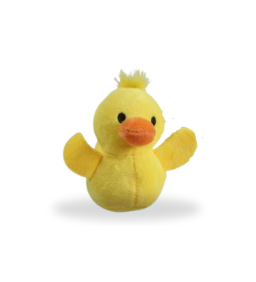 Mallory the Forgetful Duck by Elaine Allen, Hardcover w/ Plush Duck Toy ...