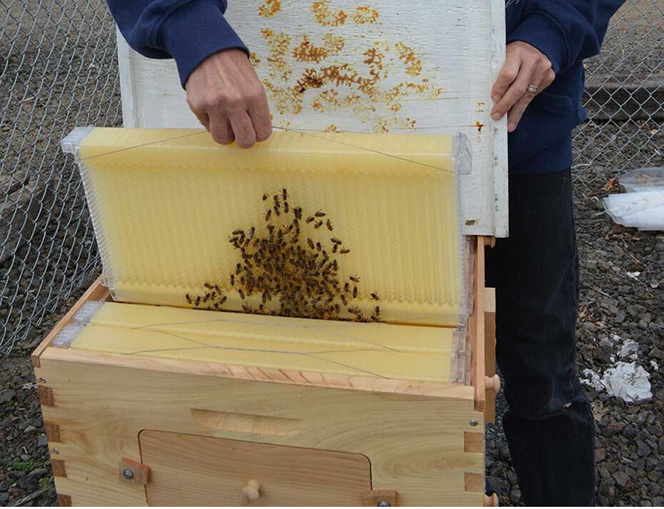 7 x Auto Shed Bee Frames Plastic Beehive Frames Beekeeping Frame ...