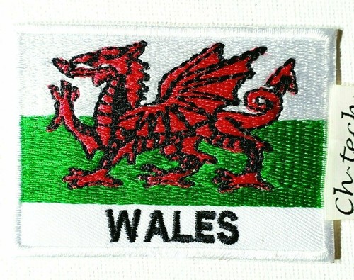 Embroidered Wales with Writing Welsh Dragon Flag Iron/Sew On Patch UK ...