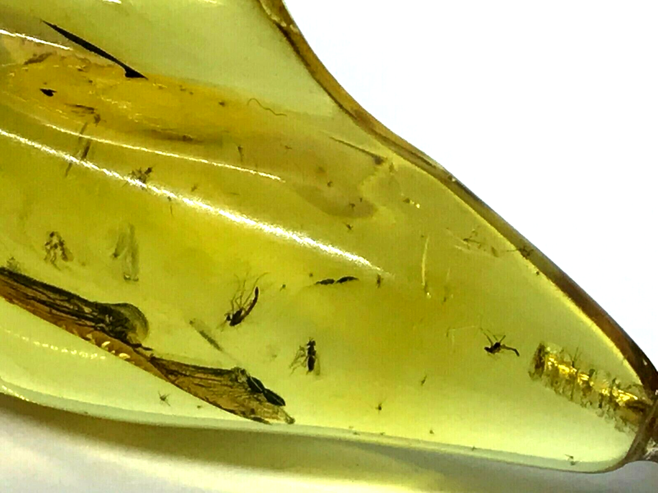 Amber Pendant 6 Insects Fossil Insect Inclusion Silver 925 Gold Plated ...