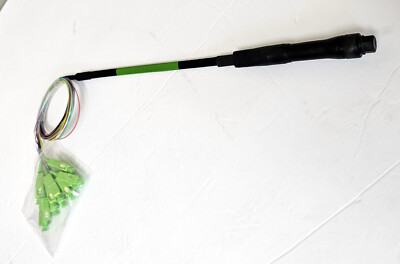 OptiTip/HMFOC Plug (Male) to SC/APC 12 Fiber Assembly, 3 feet w 24 ...