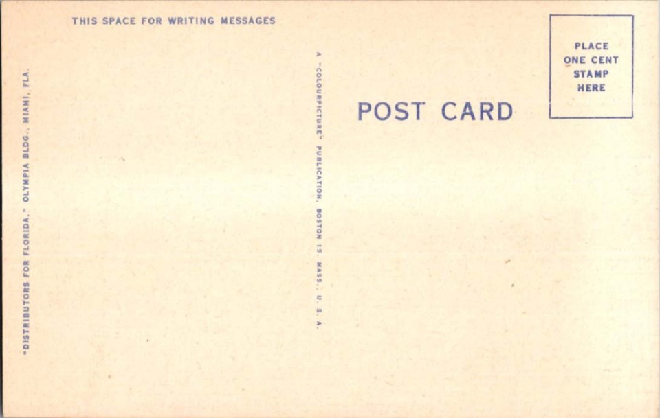 Miami Beach Florida FL : BEACH SCENE d/24 BG6654 | eBay