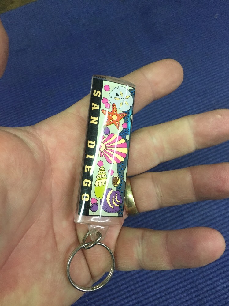TN2- San Diego Key Chain w/ Colorful Beach Scene, Sea Shells, Starfish ...