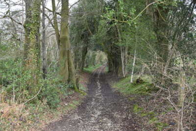 Photo 6x4 Byway off Privett Rd Froxfield Green c2019 | eBay UK