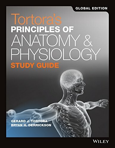 Tortoras Principles Of Anatomy And Physiology Study G... by Gerard J ...