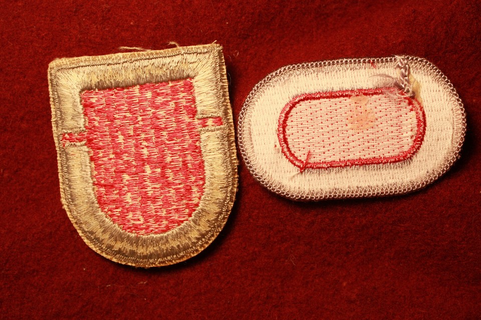 USA 1st Bn 503rd Inf 173rd Airborne Brigade Beret flash and Parachute ...