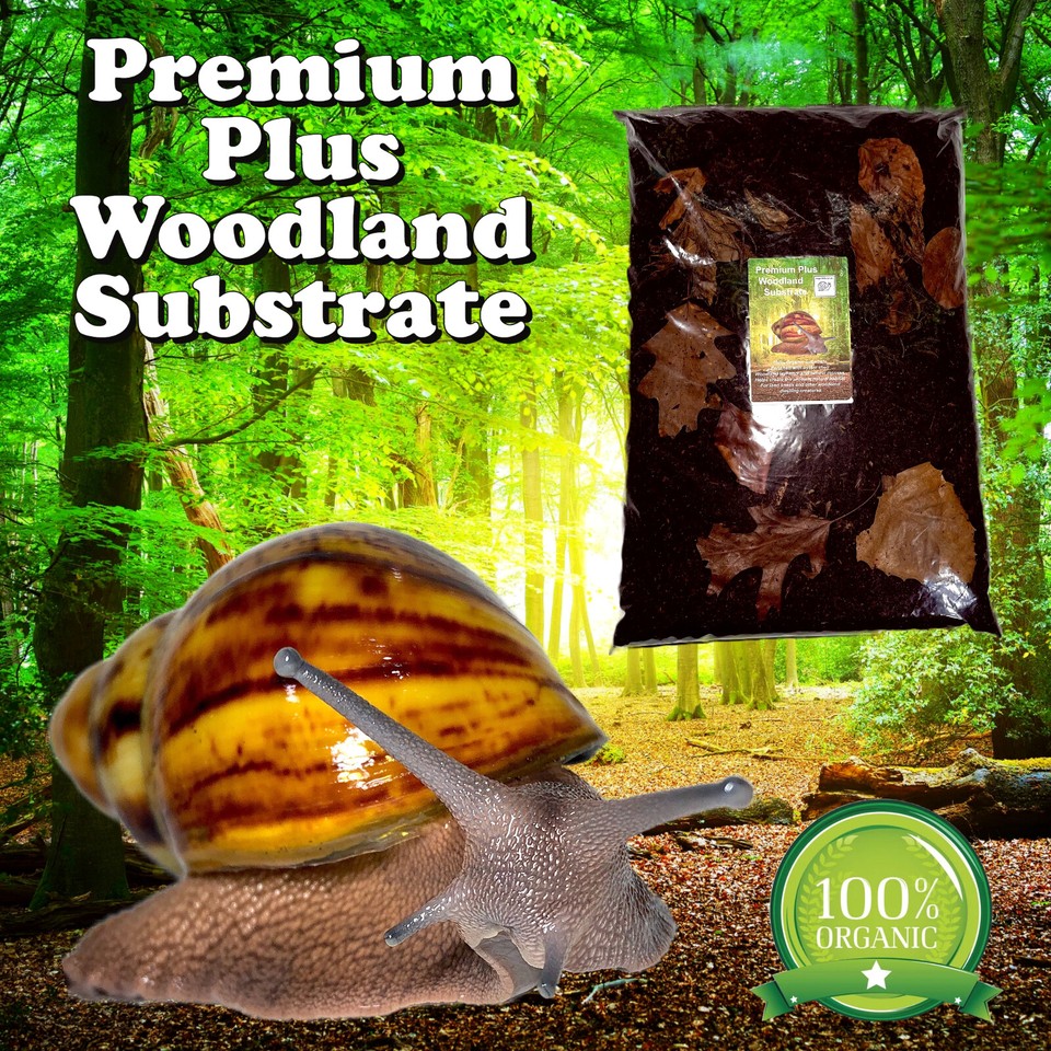 African land snail substrate WOODLAND Snail Soil GALS Moss + Leaves ...
