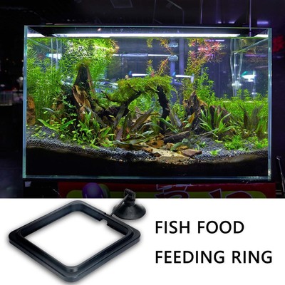 Aquarium Feeding Ring Fish Tank Station Floating Food Tray Feeder ...