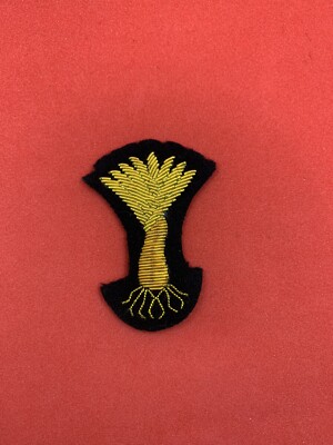 Welsh Guards Officers Embroidered Cap Badge In Gold Bullion On Black ...