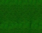 HO Scale Grass Model Train Scenery Sheets –5 Seamless 8.5x11 Dark Green ...
