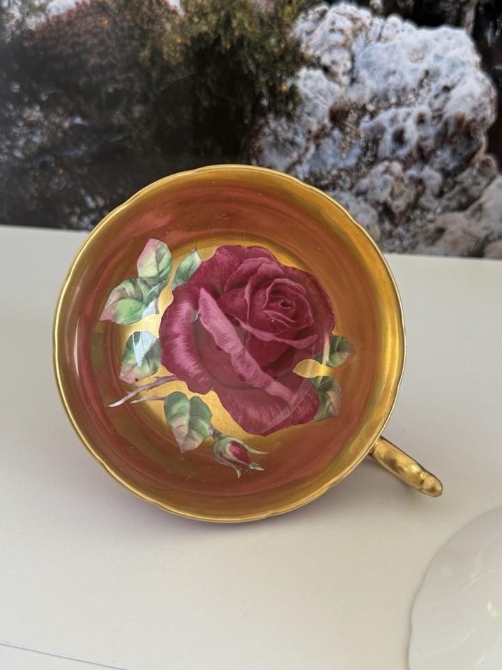 RARE Paragon Gold Burgundy Red Cabbage Rose Teacup Tea Cup Saucer | eBay