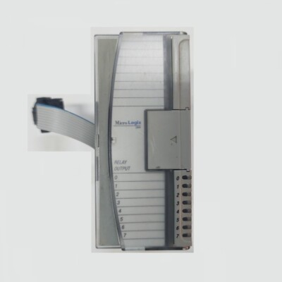 ALLEN BRADLEY MICROLOGIX 1200 - 1762-OW8 - USCITA RELÈ -- 1762 OW8 | eBay