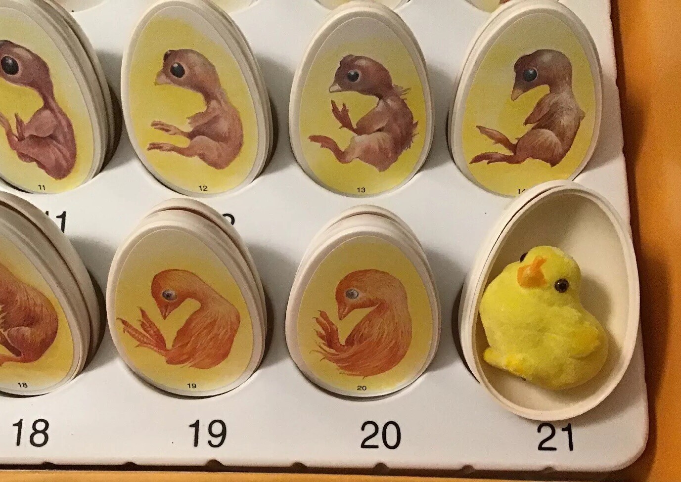 Learning Resources CHICK LIFE CYCLE Exploration Set - LER2733, Complete ...