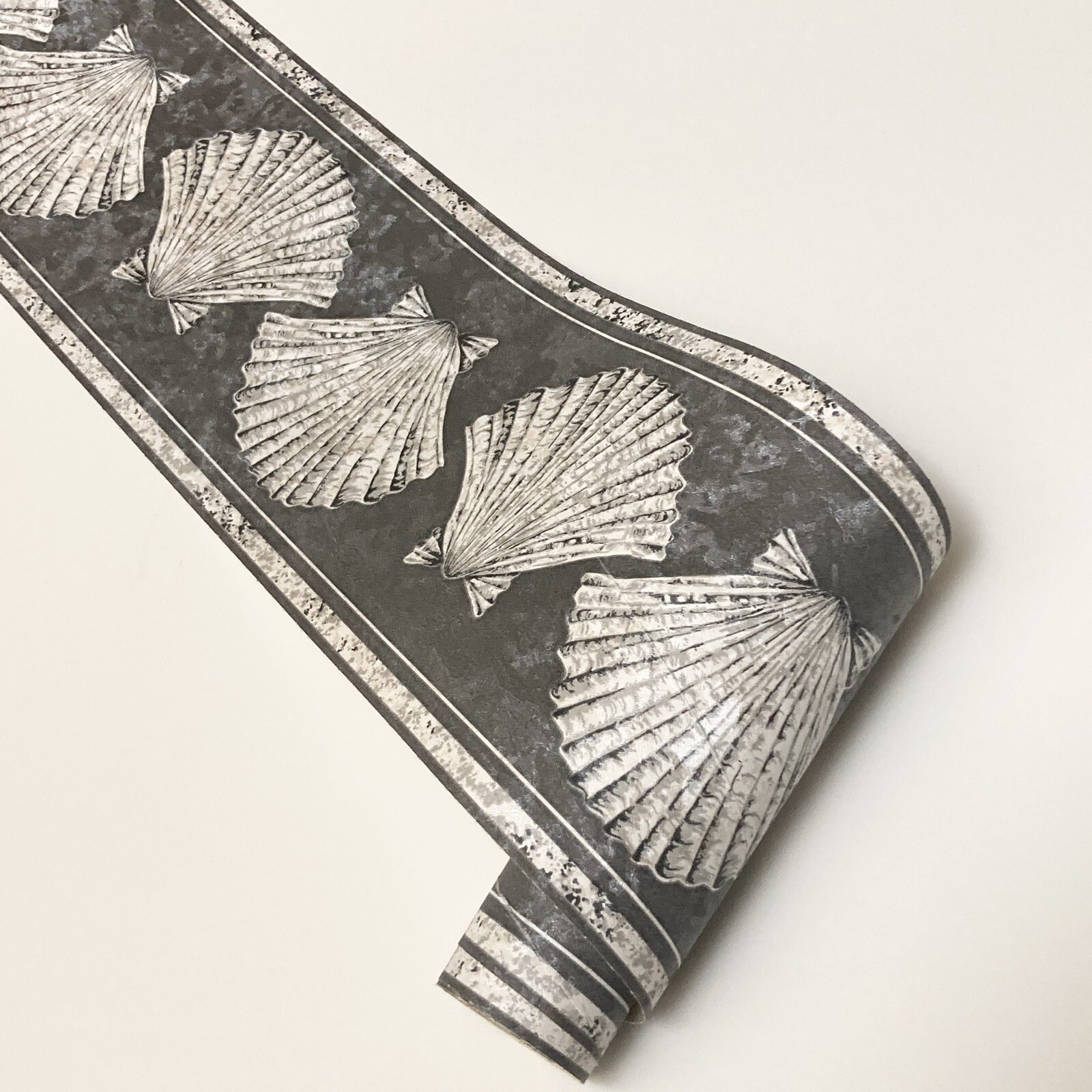 Black and White Grey Sea Shell Seashell Textured Wall paper Border ...